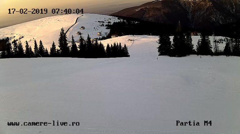 Sureanu – Camera 4 – Camere Live Romania